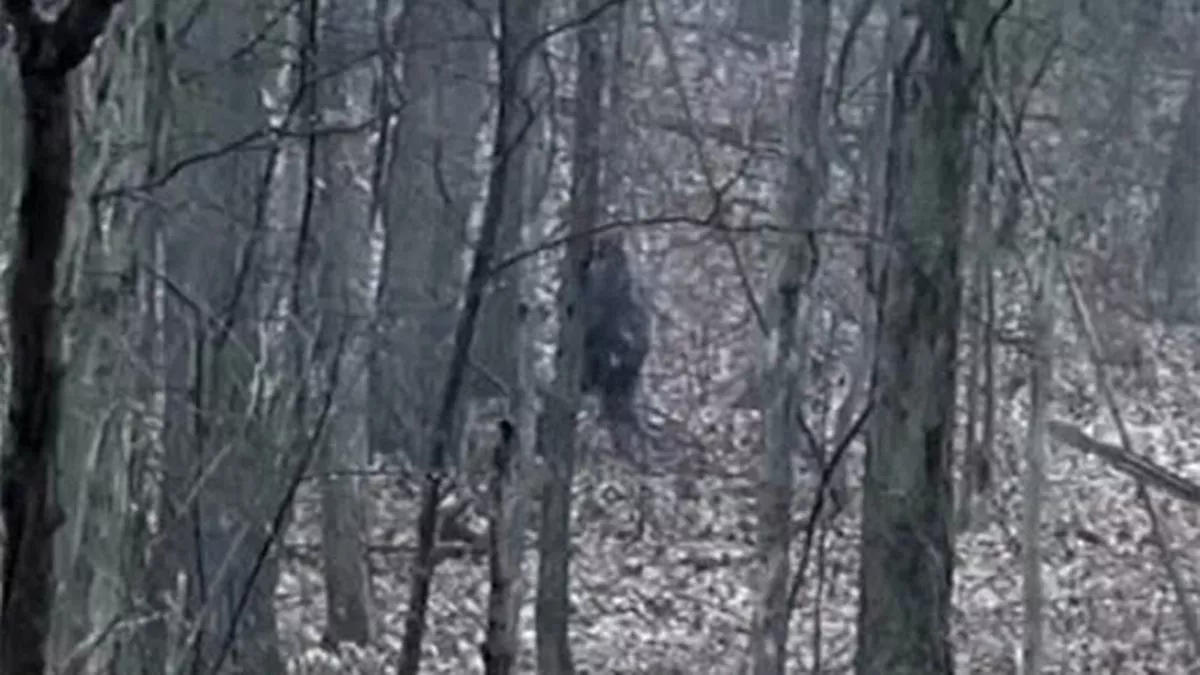 Ohio Grassman 2 – Doyle's Space